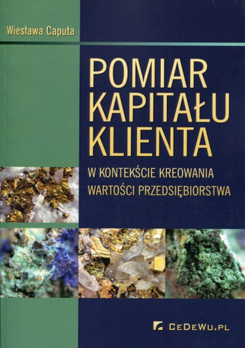 Pomiar kapitału klienta w kontekście kreowania wartości ...
